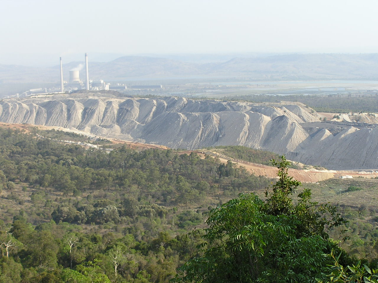 OLYMPUS DIGITAL CAMERA | FBA WQIP